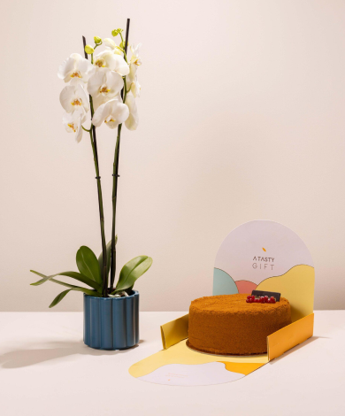 Safecart - Multi-Vendor Ecommerce System